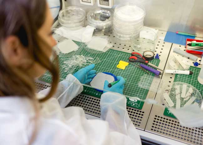 PSL's three engineering schools in the top 10 of the Usine Nouvelle ...