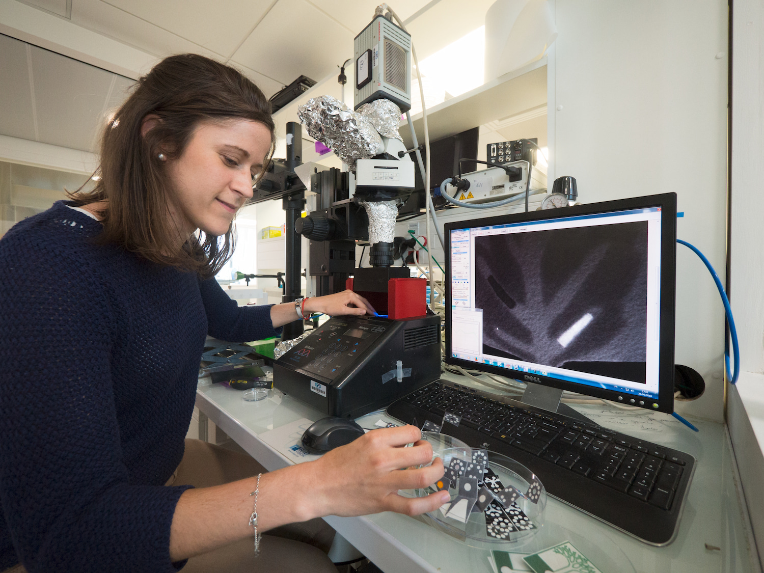 Undergraduate admissions | PSL