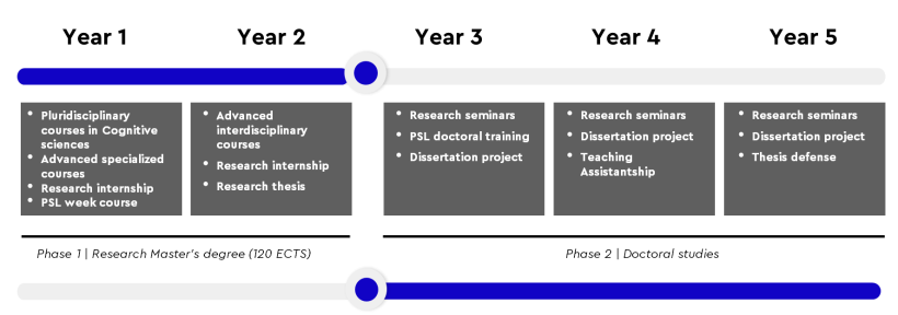 PhD track in cognitive science | PSL