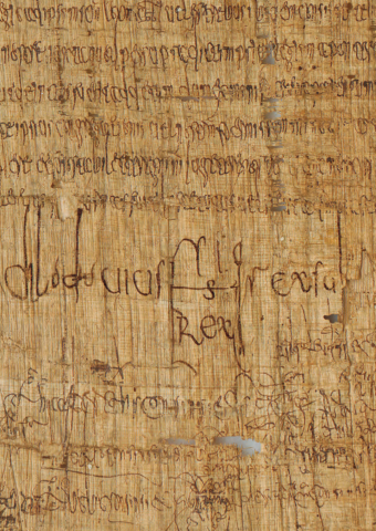 Papyrus from every angle, from Cleopatra to Clovis | PSL